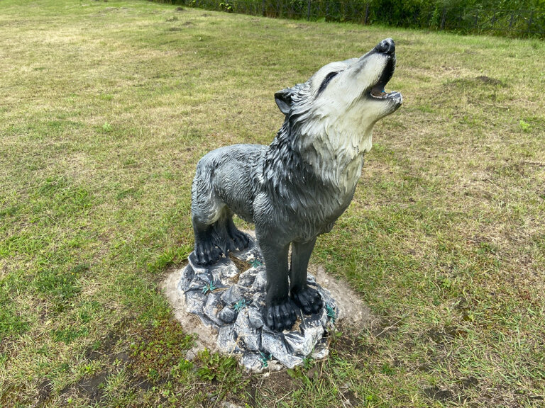 Park, sokak heykeli Волк, Çaplygin, foto