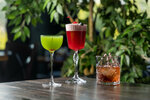Probka (Proletarskaya Street No:36), bar  Kolpino'dan