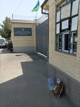 Correctional Facility for Convicts (Chashma street No:7, Yashnabad City District, Citizen assemblies of Yosh Avlod Mahallah), cezaevleri, islahevleri  Taşkent'ten