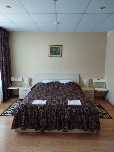 Otel Gostinitsa Opochka, Opochka, foto