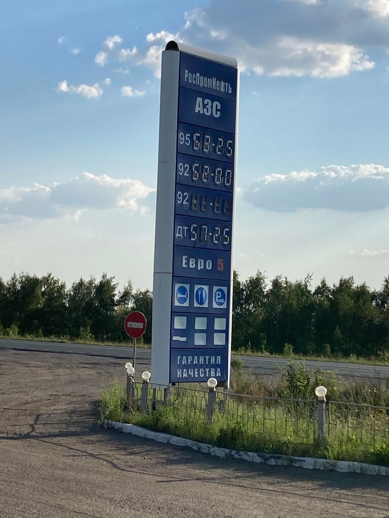 Benzin istasyonu Ruspromneft, Saratovskaya oblastı, foto