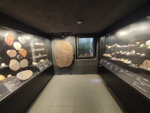 Müzeler ve sanat galerileri Vishtynetsky ekologo-istorichesky muzey, Kaliningradskaya oblastı, foto