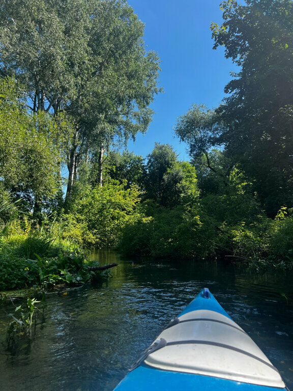 Seyahat kulübü Wilder.by, Minsk, foto