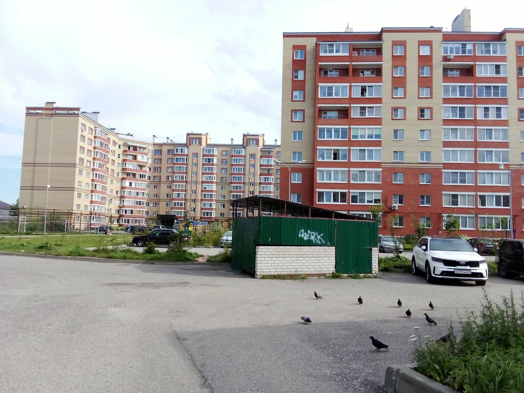 Çöp alanları Trash and garbage disposal area, Velikiy Novgorod, foto