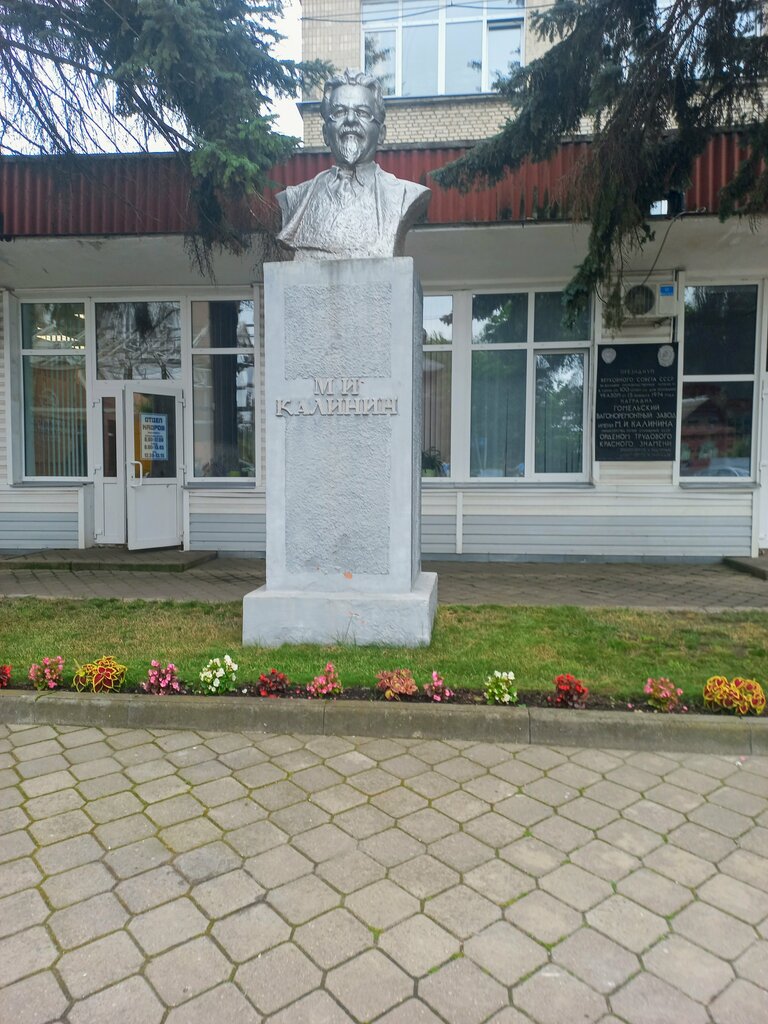 Anıt, heykel Памятник М.И. Калинину, Gomel, foto
