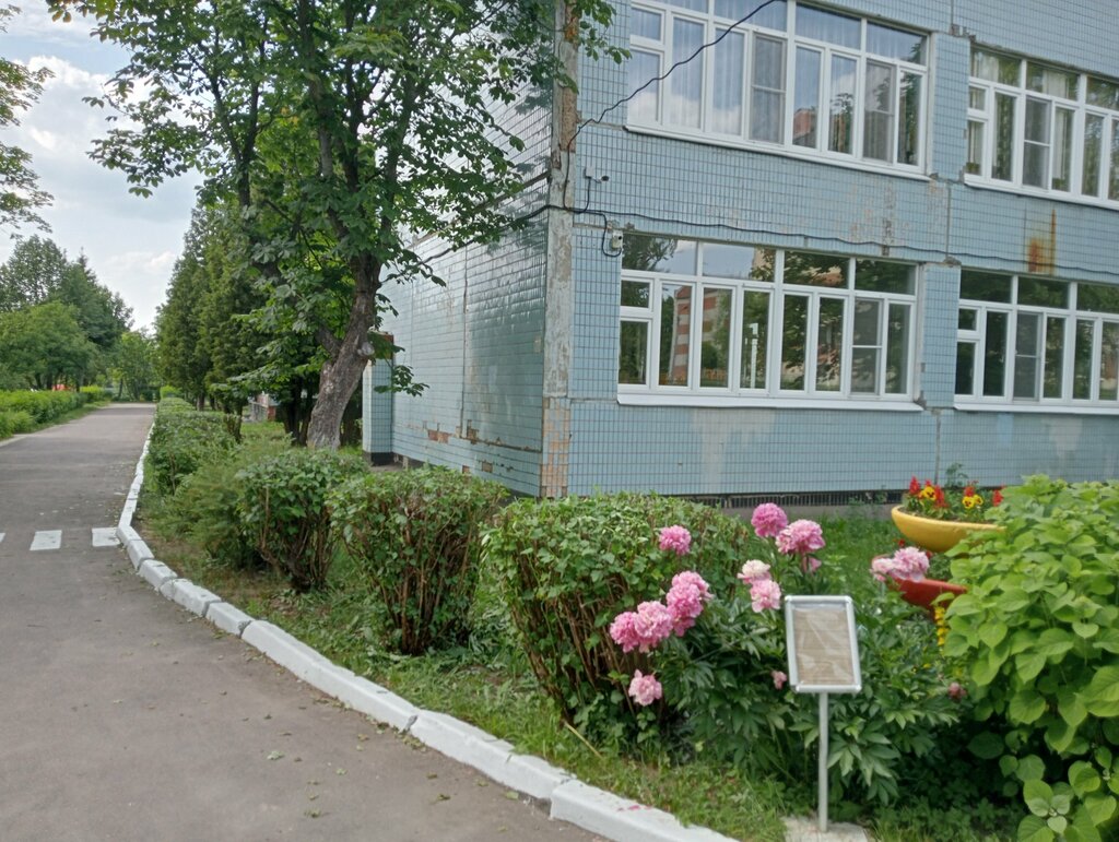 Anaokulları СОШ № 10 им. С.Н. Воронина, дошкольное отделение Троицкое, Moskova ve Moskovskaya oblastı, foto