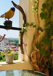 Апартаменты Meduza (Gogolya Street No:11Бк1), otel  Gelencik'ten