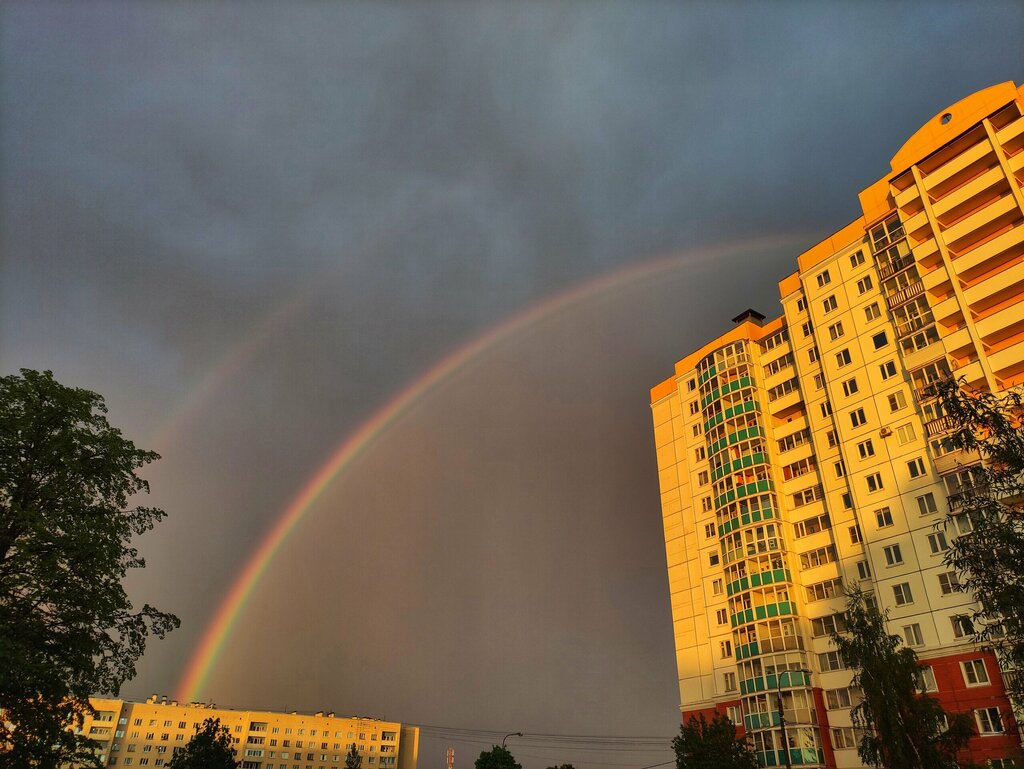 Bina, site yönetimi Карпинского 33, Saint‑Petersburg, foto