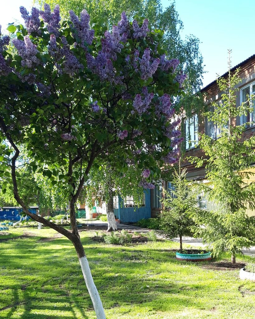 Anaokulları Detsky sad Svetlyachok Mdou, Saratovskaya oblastı, foto