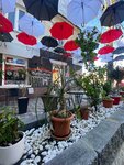 Caffe Molinari (strada Vasile Alecsandri No:4), kafe  Ungen'den