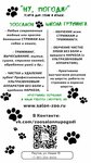 Nu Pogodi (Novaya Street No:19, Reutov), evcil hayvan kuaförleri  Reutov'dan
