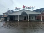 Alye Parusa (Udmurtskaya Street No:2А), otel  Nijni Novgorod'dan