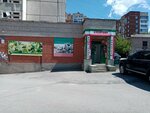 Цуп (Mendeleyeva Street No:112/2), ödeme terminali  Ufa'dan