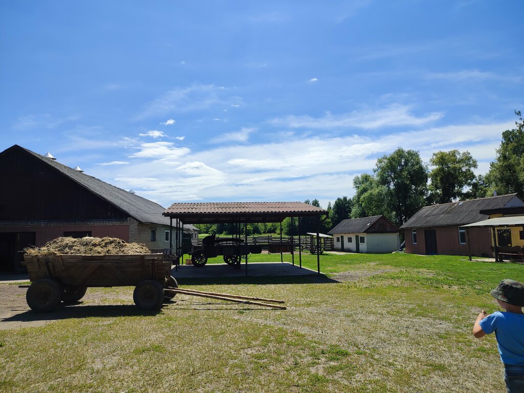 At ve binicilik kulüpleri U_Raimonda, Shchuchyn, foto