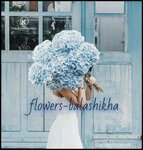 Cvetochnyj dom (No:1, Izumrudniy Quarter), çiçekçiler  Balaşiha'dan