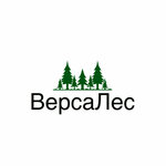 VersaLes (Barabinskaya ulitsa No:3), yönetim ofisi  Tiumen'den