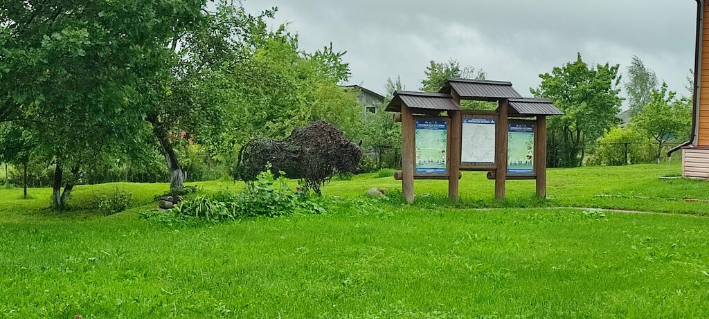 Park, sokak heykeli Зубр, Smolenskaya oblastı, foto