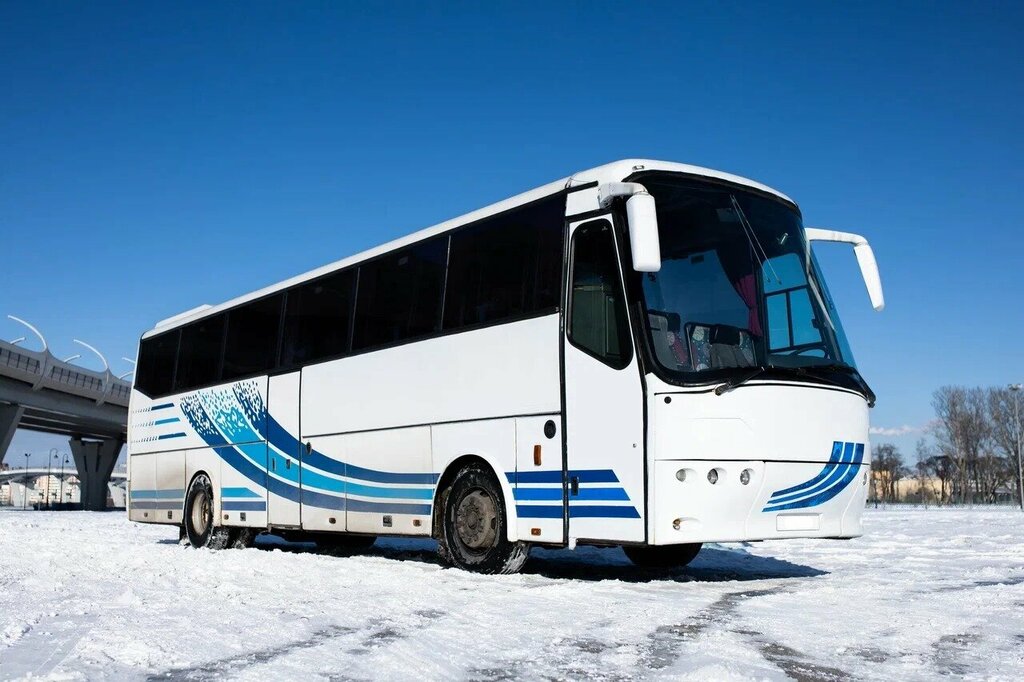 Otobüs taşımacılığı ИП Горохов Д. А., Saint‑Petersburg, foto