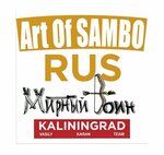 12 Steps of Sambo (Sovetskiy Avenue No:230), spor okulları  Kaliningrad'dan