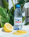 Tassay International Mineral Water & Carbonated Drinks Trading L. L. C (Khalifa Bin Zayed The First Street No:407), maden suları, pınarlar ve çeşmeler  Abu Dabi'den