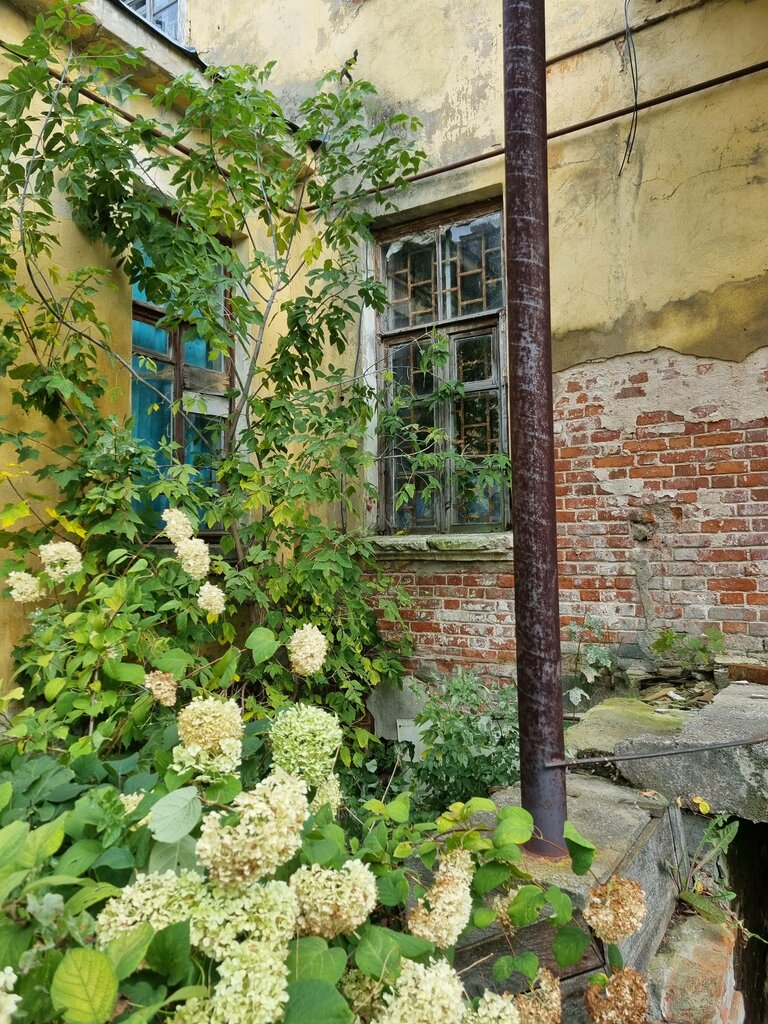Turistik yerler Усадьба Лихониных, Riazanskaya oblastı, foto