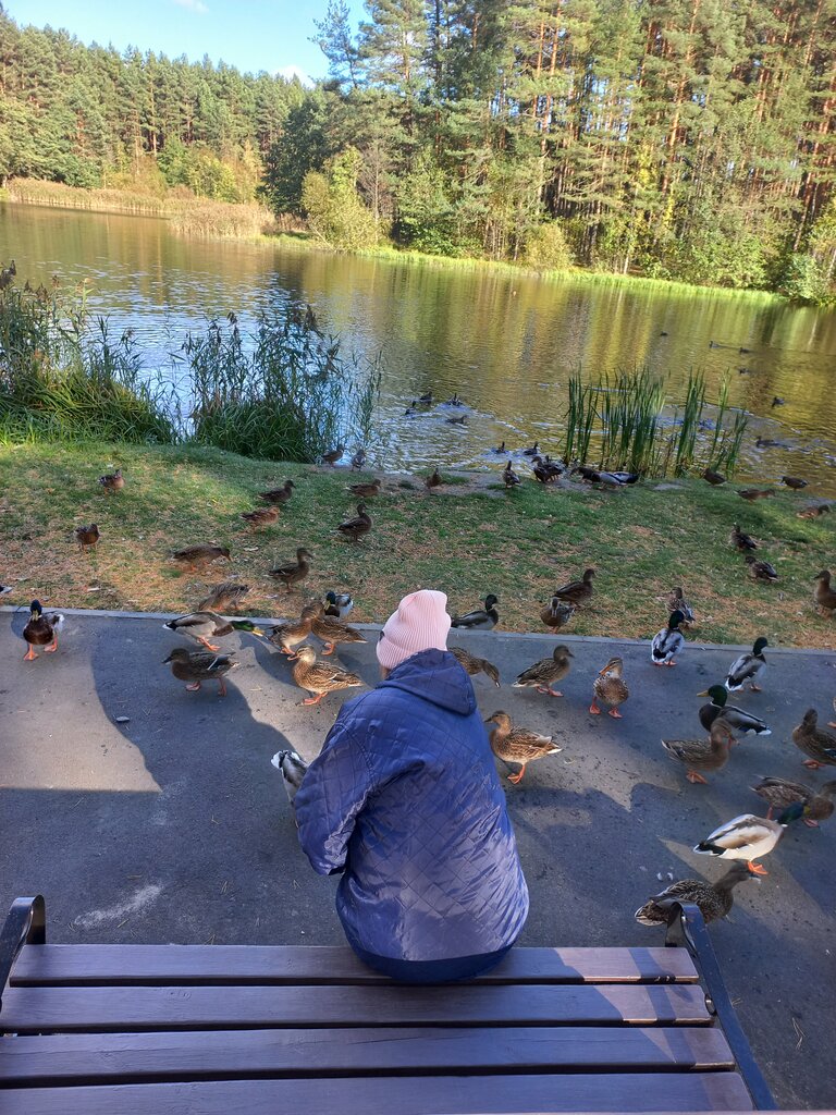 Anıt, heykel Памятник, Brianskaya oblastı, foto