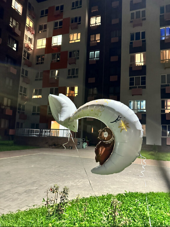 Teslimat noktası Шарики как в Pinterest, Moskova ve Moskovskaya oblastı, foto