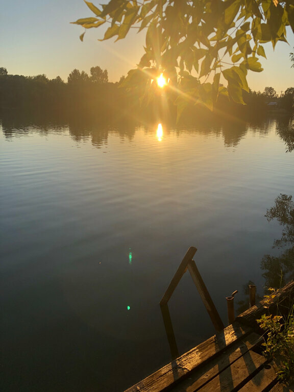 Bahçecilik dernekleri ve kuruluşları Priozernoye, Noginsk, foto
