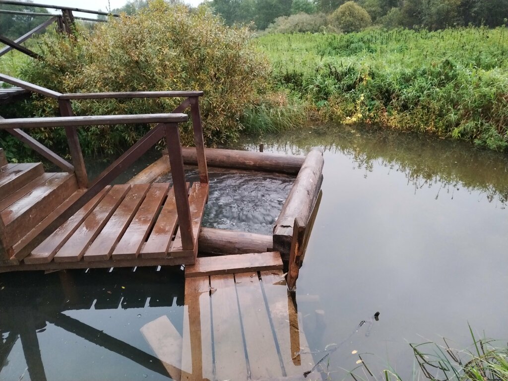 Pınar, çay Сероводородный источник, Pskovskaya oblastı, foto