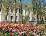 Ансамбль городской клиники нервных болезней доктора Л. С. Цейтлина (Donskaya Street No:43с7), turistik yerler  Moskova'dan