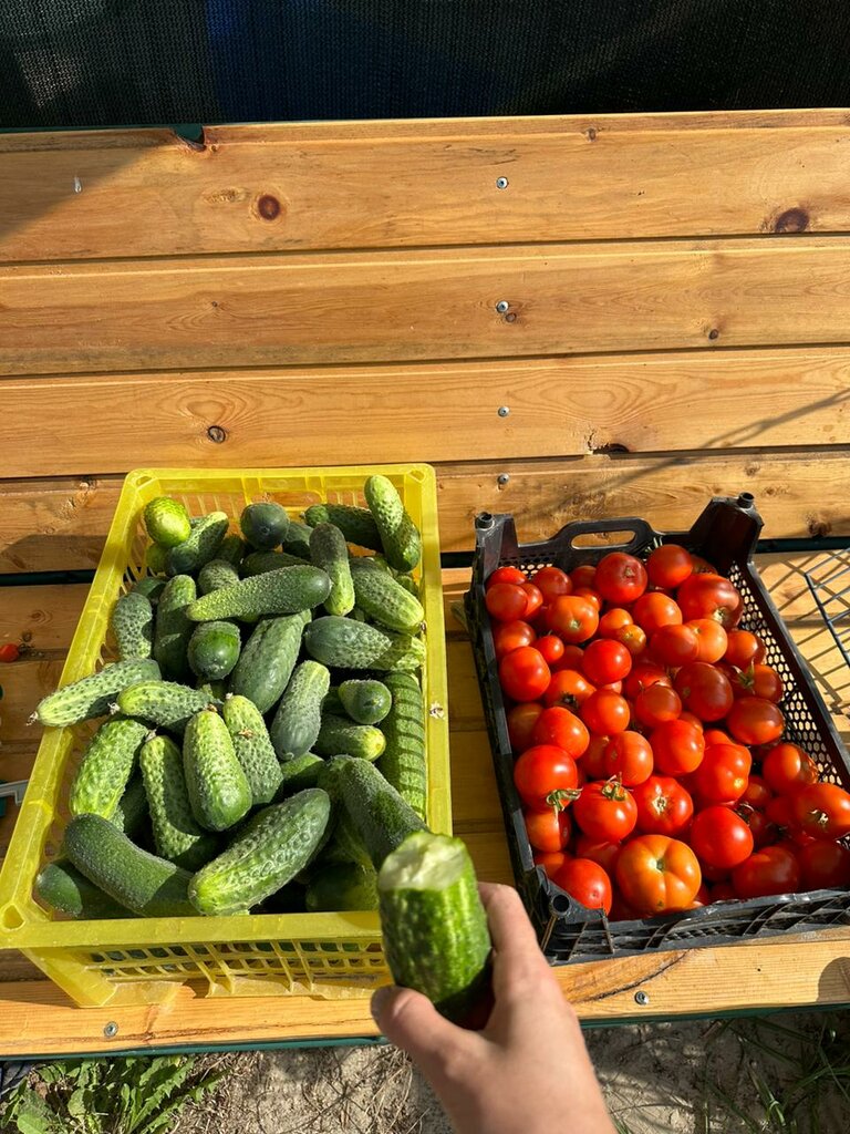 Bahçecilik mağazaları Sadovy tsentr, Hantı‑Mansi, foto