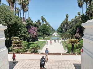 Botanical garden El-Hamma Jardin d'Essai (Algiers, Allée des Dracaena), kültür ve eğlence parkları  Algiers'ten