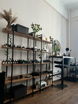 Bl Studio (Novoslobodskaya Street No:16А), kaş ve kirpik salonu  Moskova'dan