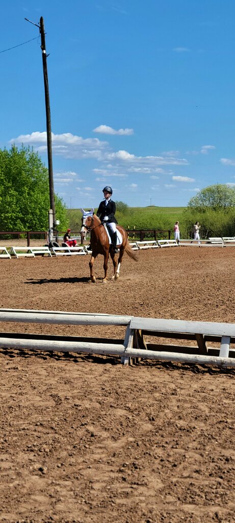 At ve binicilik kulüpleri Equestrian Vyatka sports School of the Olympic Reserve, Kirov, foto