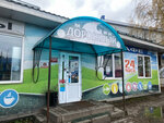 Дорожный (Vologda Region, Velikiy Ustyug, Peschanaya ulitsa), market  Velikiy Ustug'dan