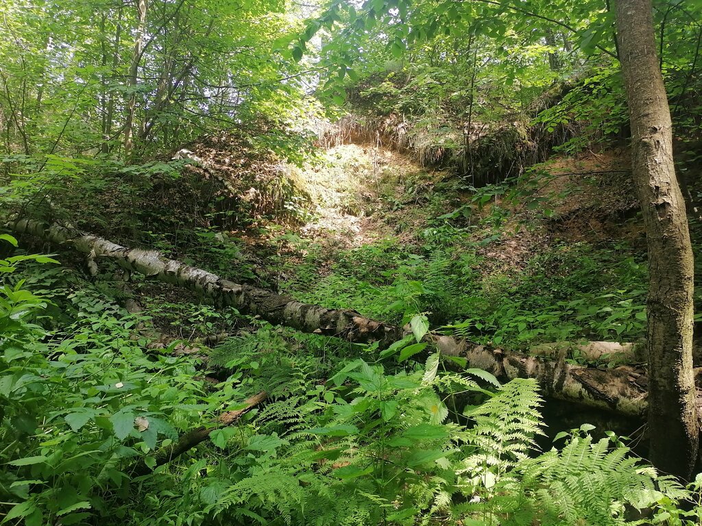Pınar, çay Spring, stream, Riazanskaya oblastı, foto