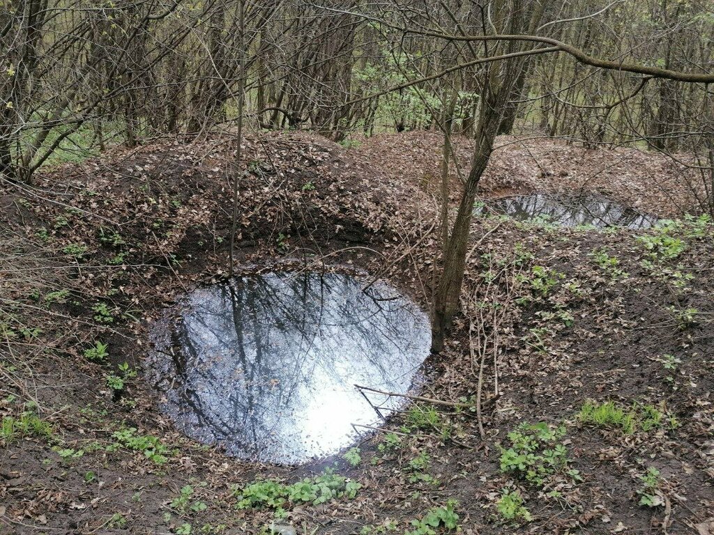 Doğa koruma alanı государственный природный заказник Урочище Рыково, Belgorodskaya oblastı, foto