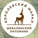 Shebalinsky maral farm King Maral (Republic of Altai, Shebalinskiy rayon, selo Kumalyr), resort oteller, tesisler  Altay Cumhuriyeti'nden
