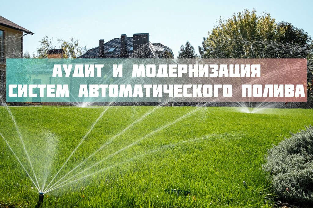 Peyzaj tasarımı Enki, Soçi, foto