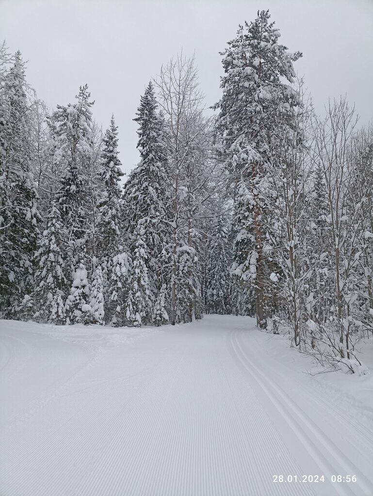 Kayak merkezleri Лыжная база, Komi, foto