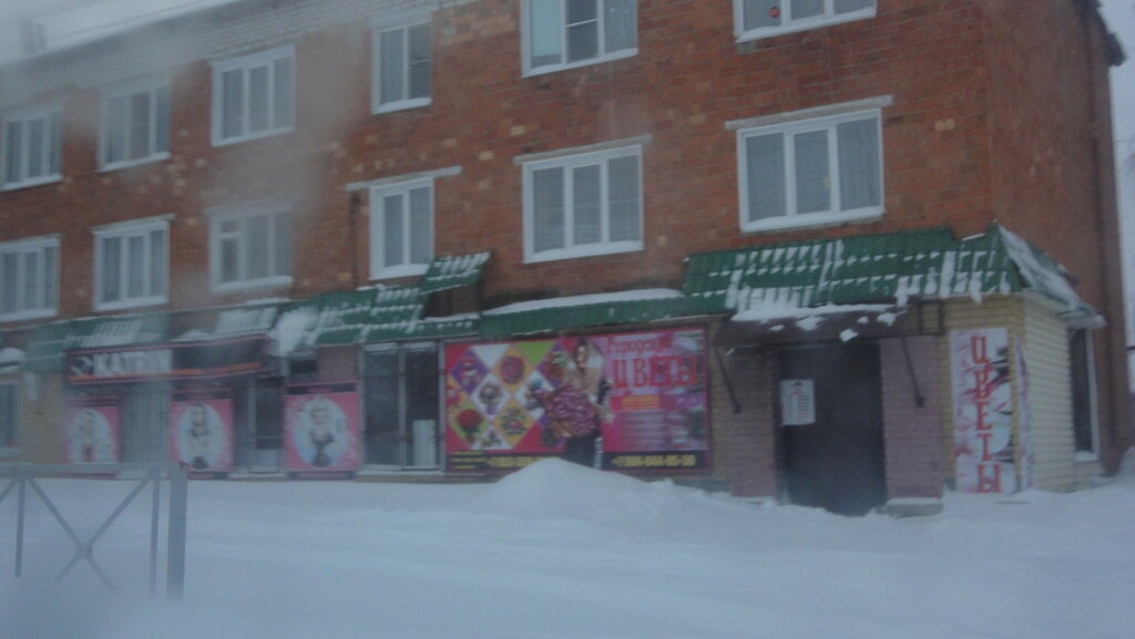 Çiçekçiler Городские цветы, Nijegorodskaya oblastı, foto