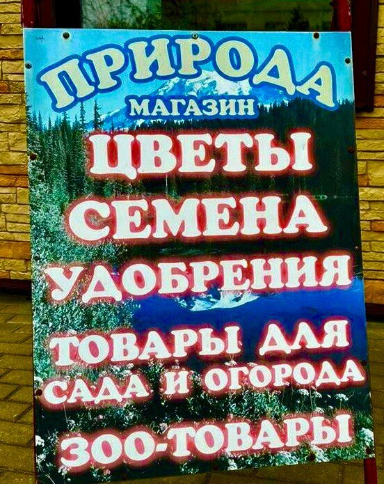 Çiçekçiler Цветы, Voronejskaya oblastı, foto