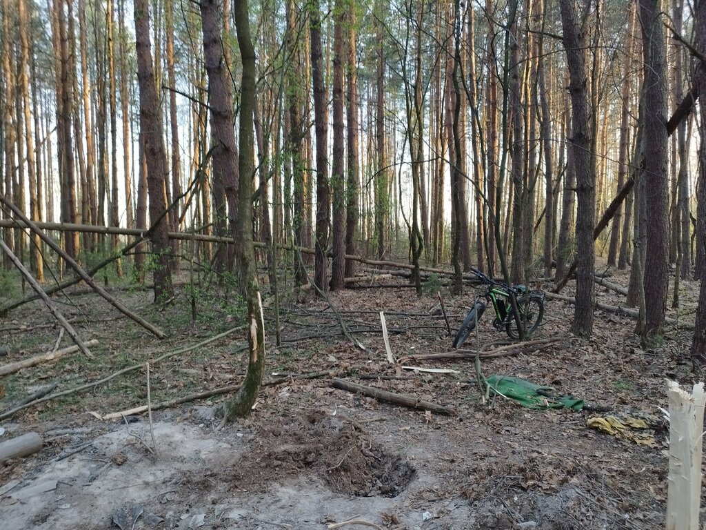 Kültür ve eğlence parkları Юго-западный лесопарк, Moskova ve Moskovskaya oblastı, foto