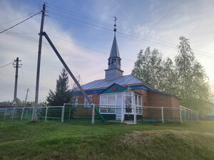 Мечеть (ulitsa Mecheti No:68, selo Yevleyka), cami  Ulyanovskaya oblastından