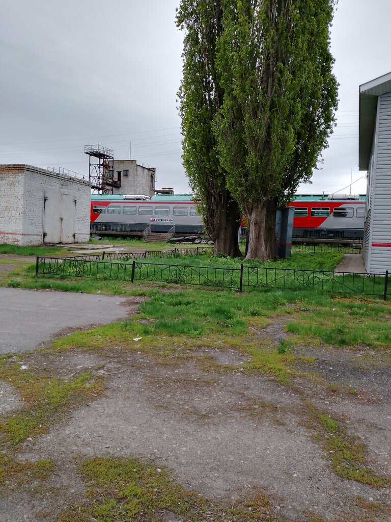 Tren garları Railway station, Voronejskaya oblastı, foto
