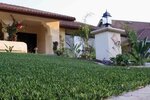Artificial Grass (429/1, Sheikh Zayed Road, Dubai), yapay bitki ve çiçek