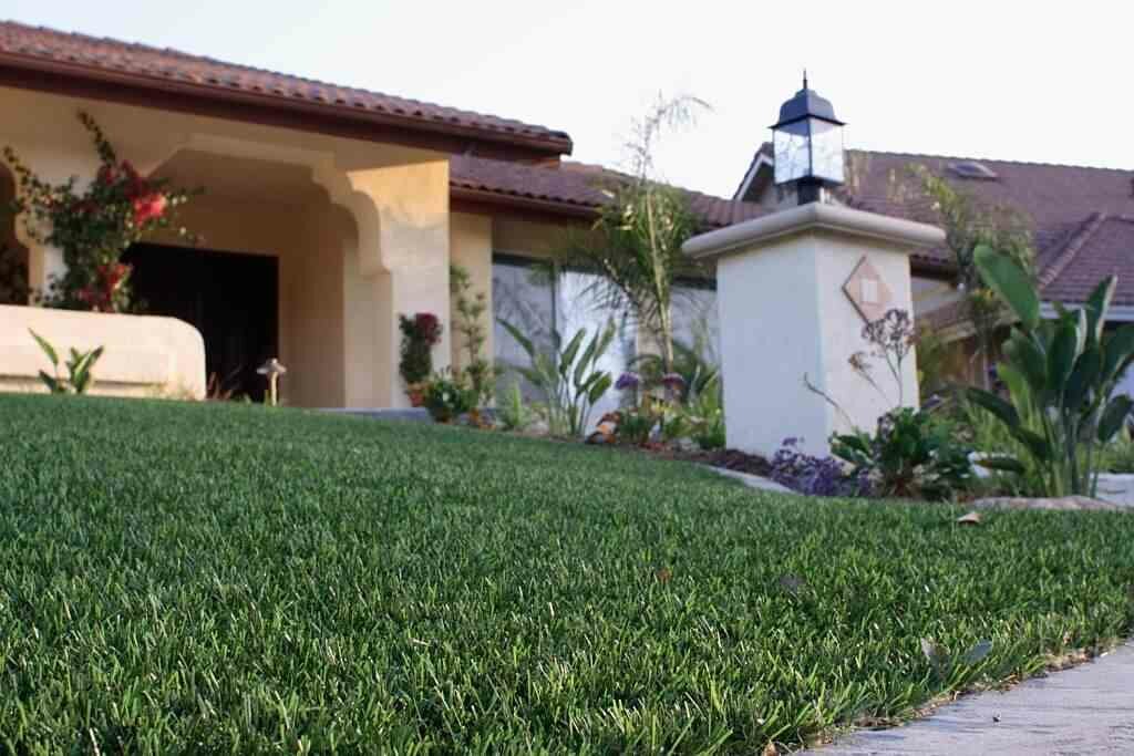 Yapay bitki ve çiçek Artificial Grass, Dubai, foto