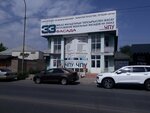 33 fasada (Ádil Sasbuqaev kóshesi No:119), ev mobilyası  Çimkent'ten (Şımkent'ten)