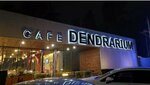 Dendrarium (Moskovskoye Highway No:14, Vladikavkaz), kafe  Vladikavkaz'dan