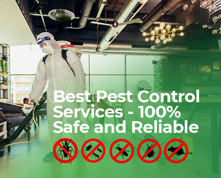 Temizlik şirketleri beeline Pest Control and Building Cleaning Service, Dubai, foto